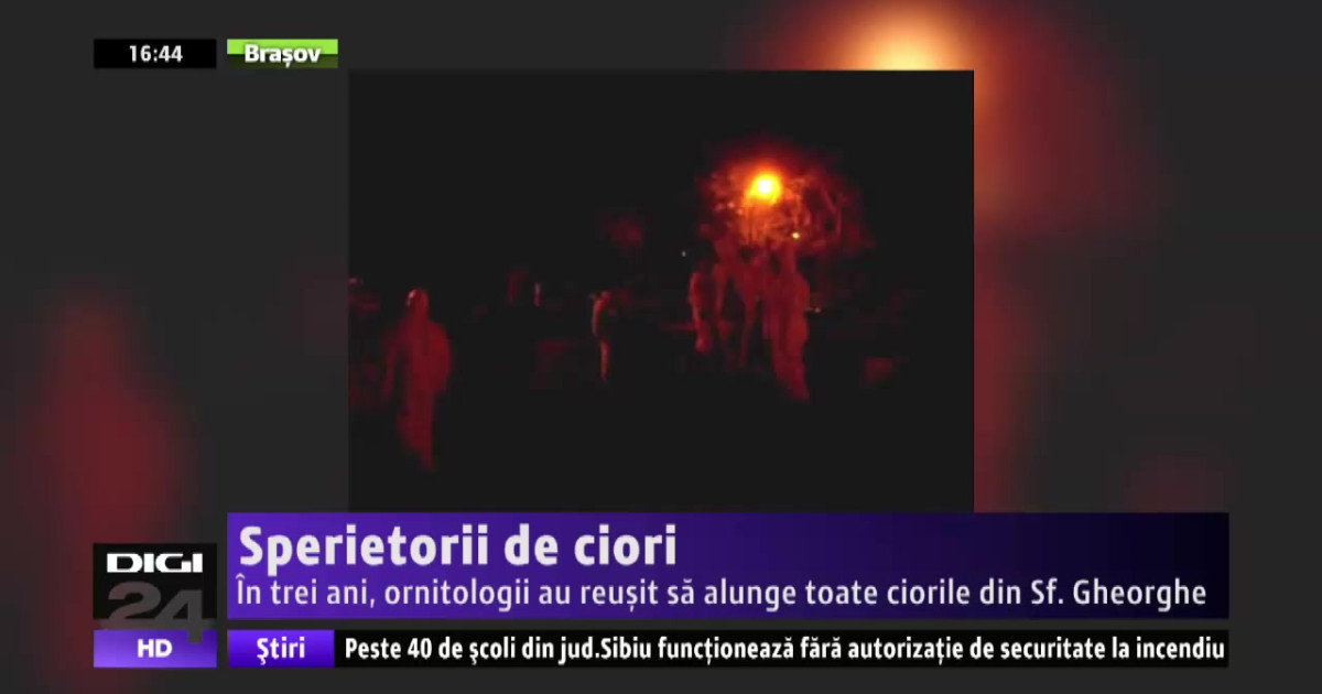 Sperietorii de ciori | Digi24