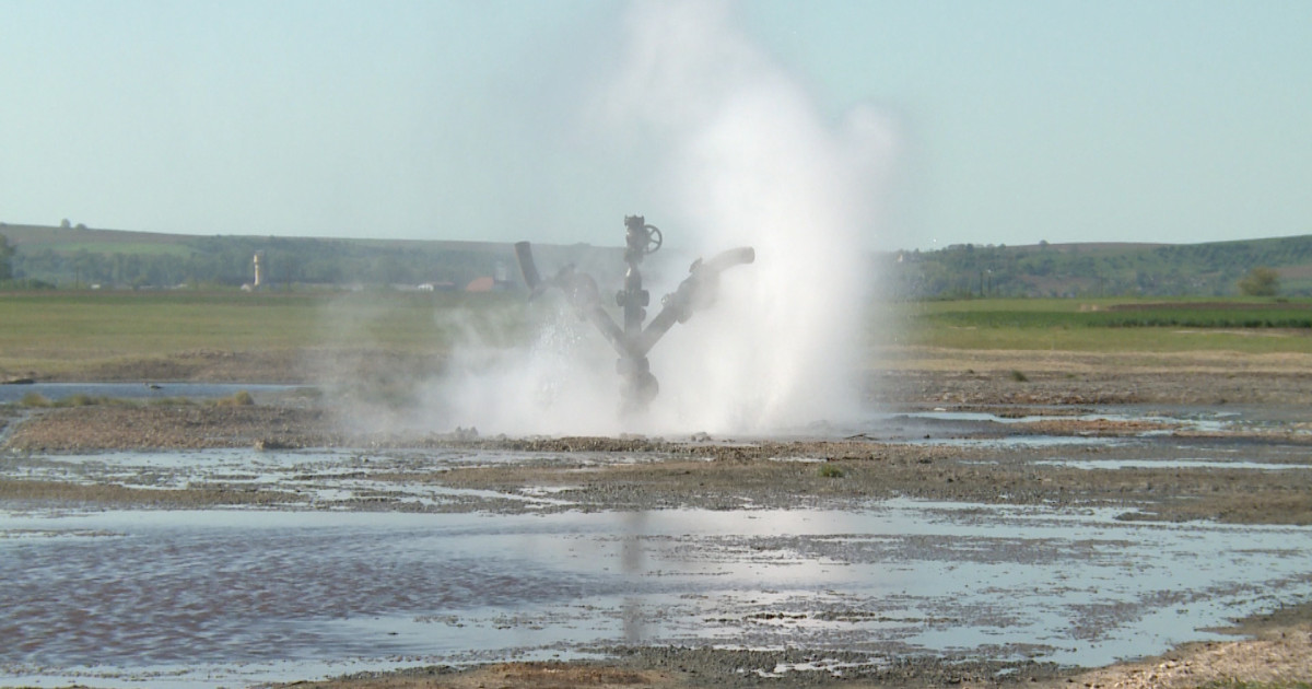 Gheizer artificial în Săcuieni. Mii de metri pătrați de pășune ...