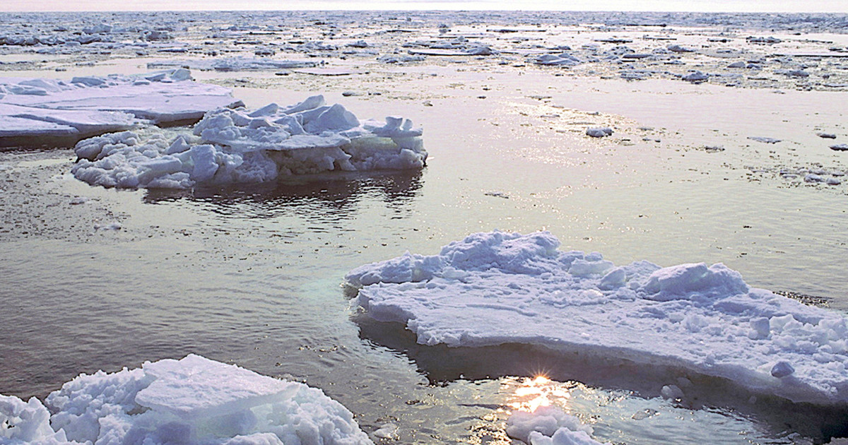 Întinderile de gheaţă din Marea Bering au ajuns la cel mai redus nivel ...