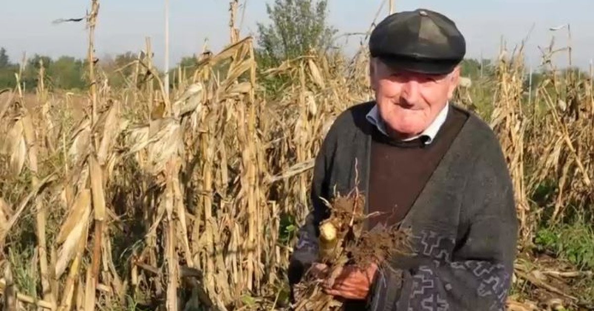 Reportaj | Românii de la țară, sătui de politicieni. Bărbat: Pentru ...