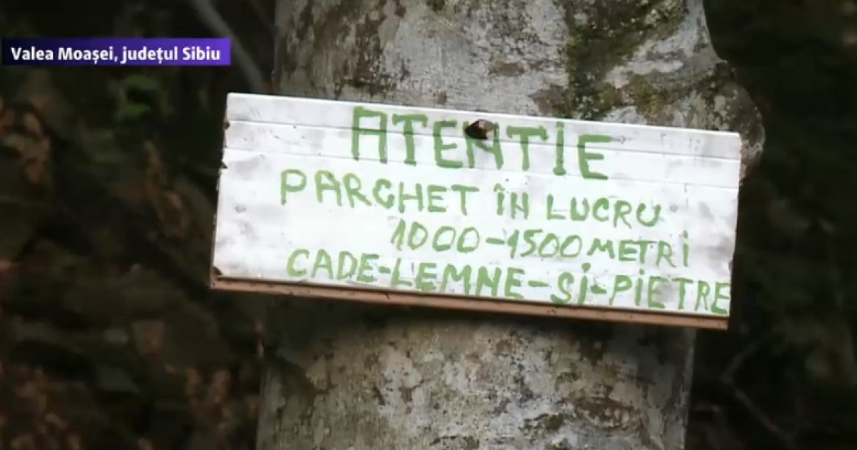 Defrişările din ultimul an au distrus unul dintre cele mai frumoase ...