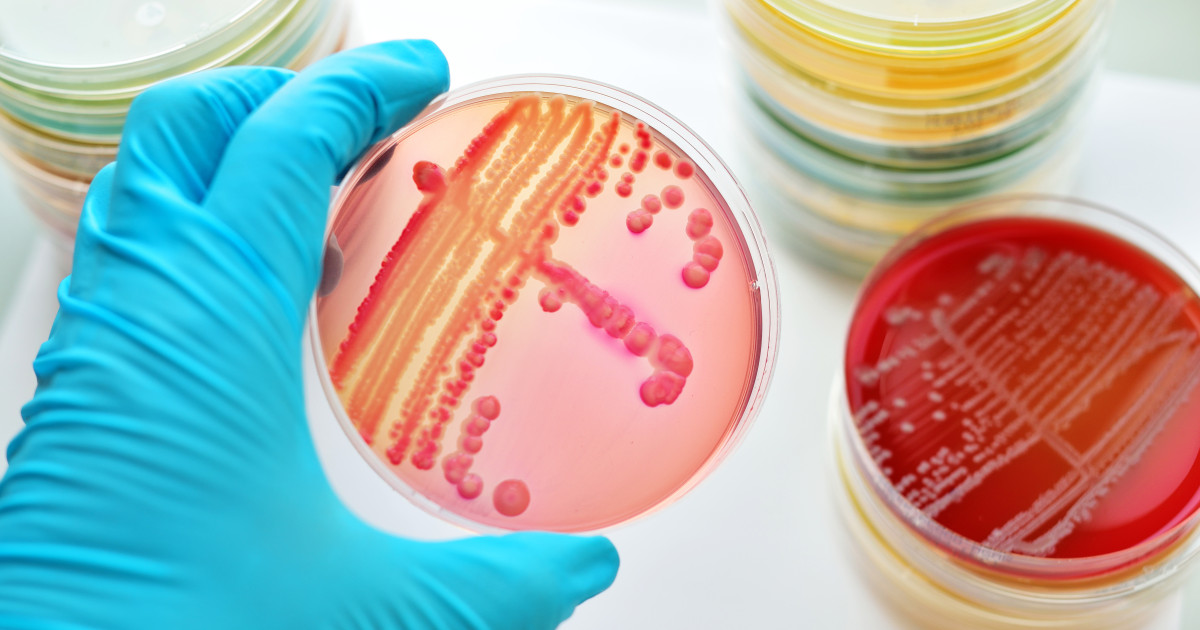 Avertismentul Organizației Mondiale a Sănătății. Sexul oral duce la ...