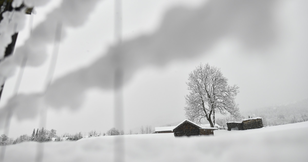 Cod violet de vreme rea, în Germania: Se va depune încă un metru de ...