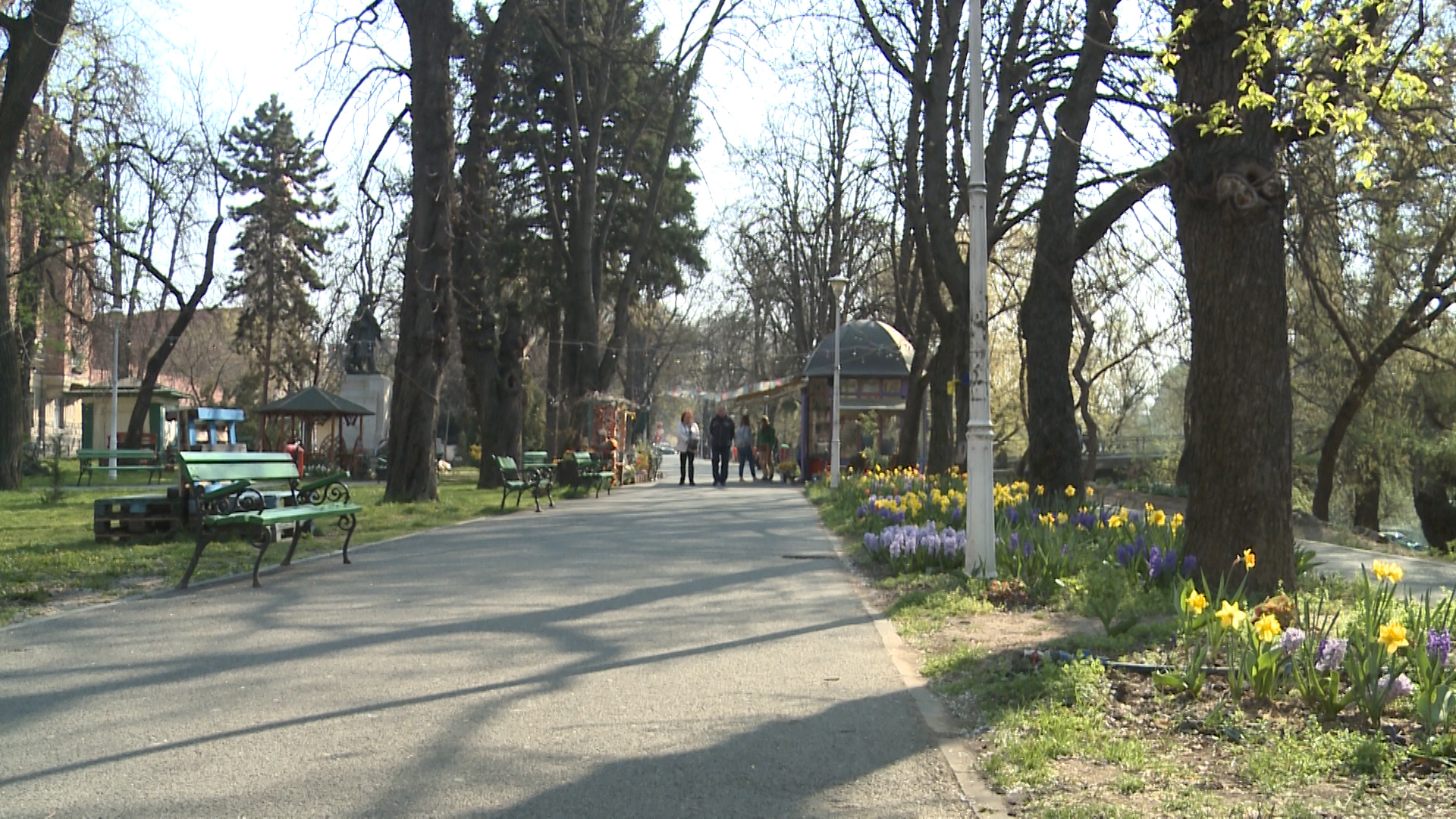 Parcul celor 10.000 de flori din centrul municipiului Oradea | Digi24