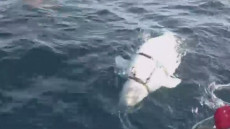 Digi24 - Stiri - Informația la putere!