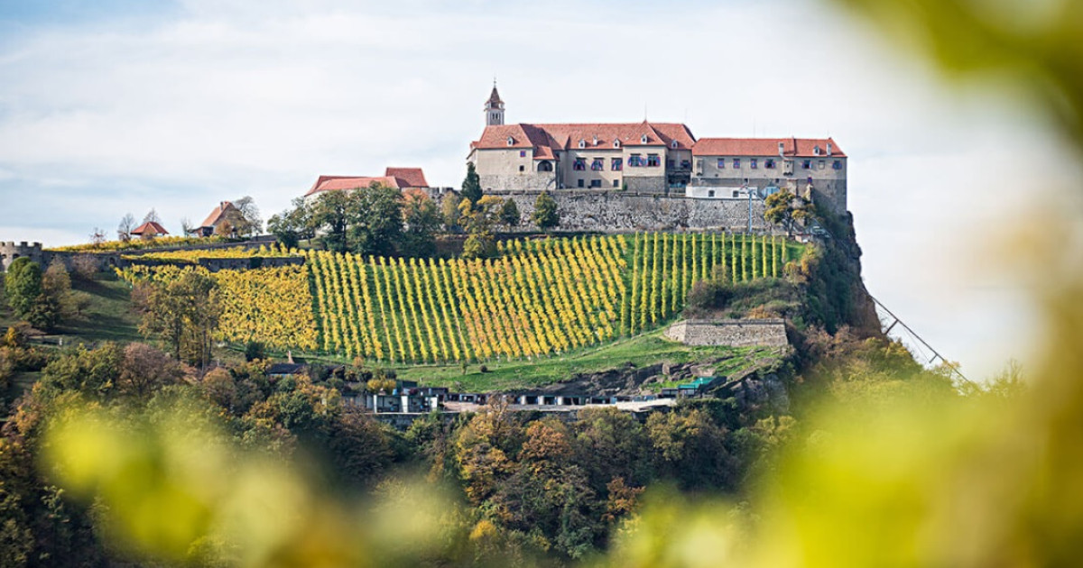 Românii se răzbună virtual pe prințul care l-a ucis pe ursul Arthur ...