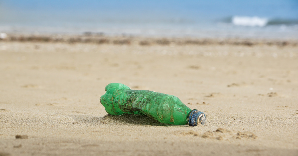 Pește cu microplastic pe masa românilor. Marea Neagră, poluată masiv