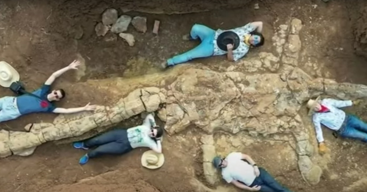 Descoperirea fosilei unui monstru marin care a trăit acum 100 de ...