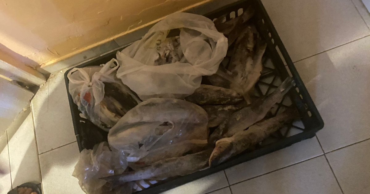 ANSVSA a dat amenzi de peste 72.000 de lei în urma controalelor făcute ...