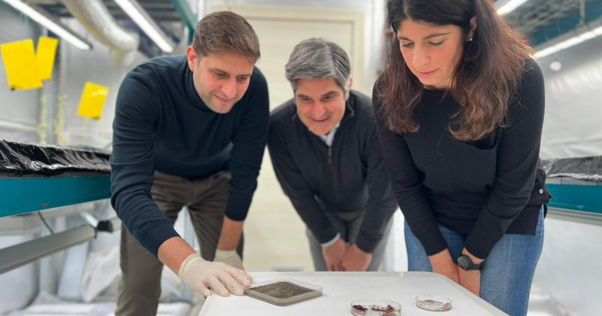 Suprafaţa cenuşie de pe Lună poate fi transformată în sol fertil cu ...