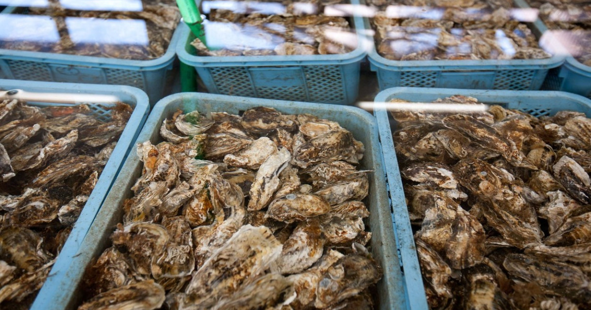 Armata SUA cumpără fructe de mare japoneze pentru a contracara ...