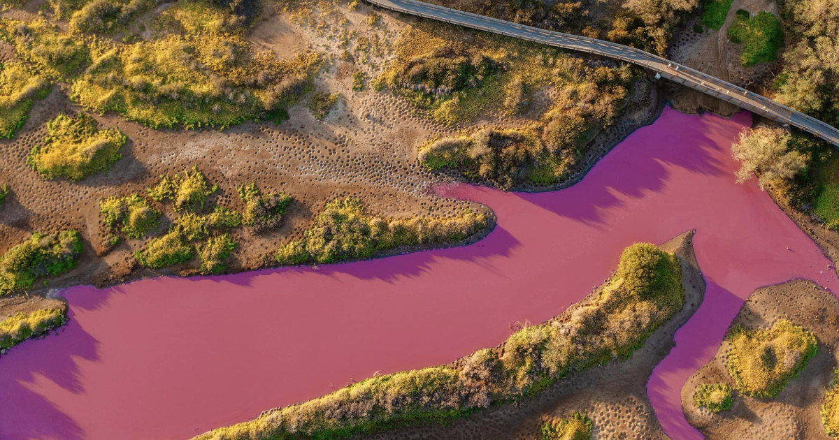 Apa unui lac din Hawaii s-a colorat într-un roz aprins. Fenomenul are o ...