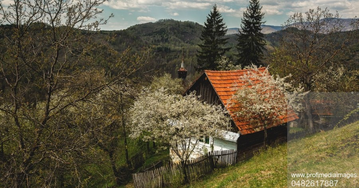 Primul tronson din TransApuseana, cel mai scump drum judeţean, va fi ...