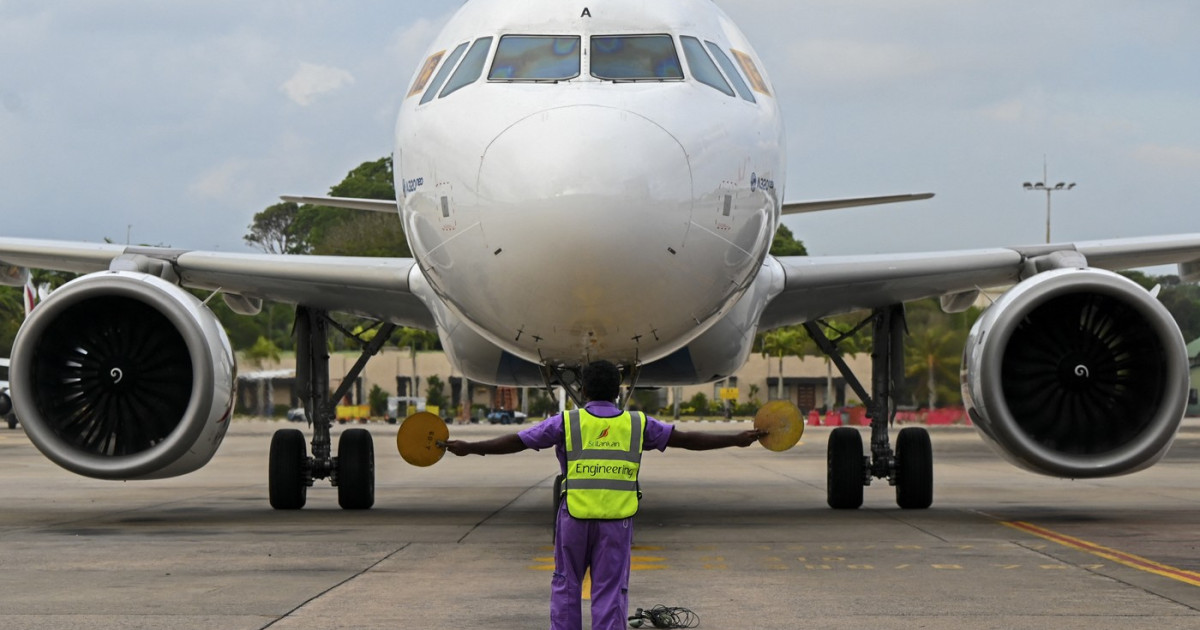 Un șobolan a ținut la sol un avion Airbus timp de 3 zile. Mai multe ...