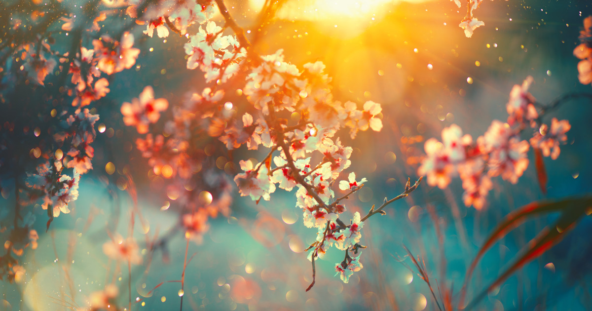 Prognoza meteo: urmează zile cu temperaturi de 23-24 de grade. Zonele ...