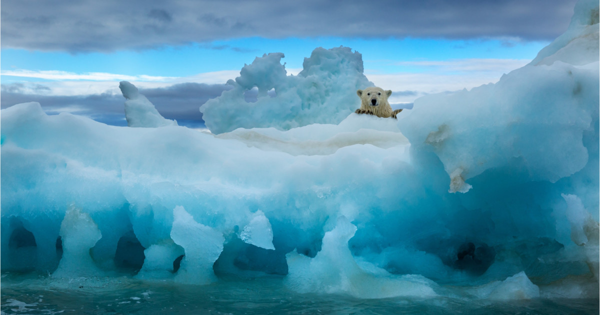 „Este o nebunie”. Planul experimental de a salva banchiza Oceanului ...