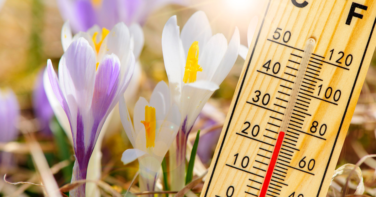 Temperaturi de aproape 30 de grade Celsius la final de săptămână. Ar ...