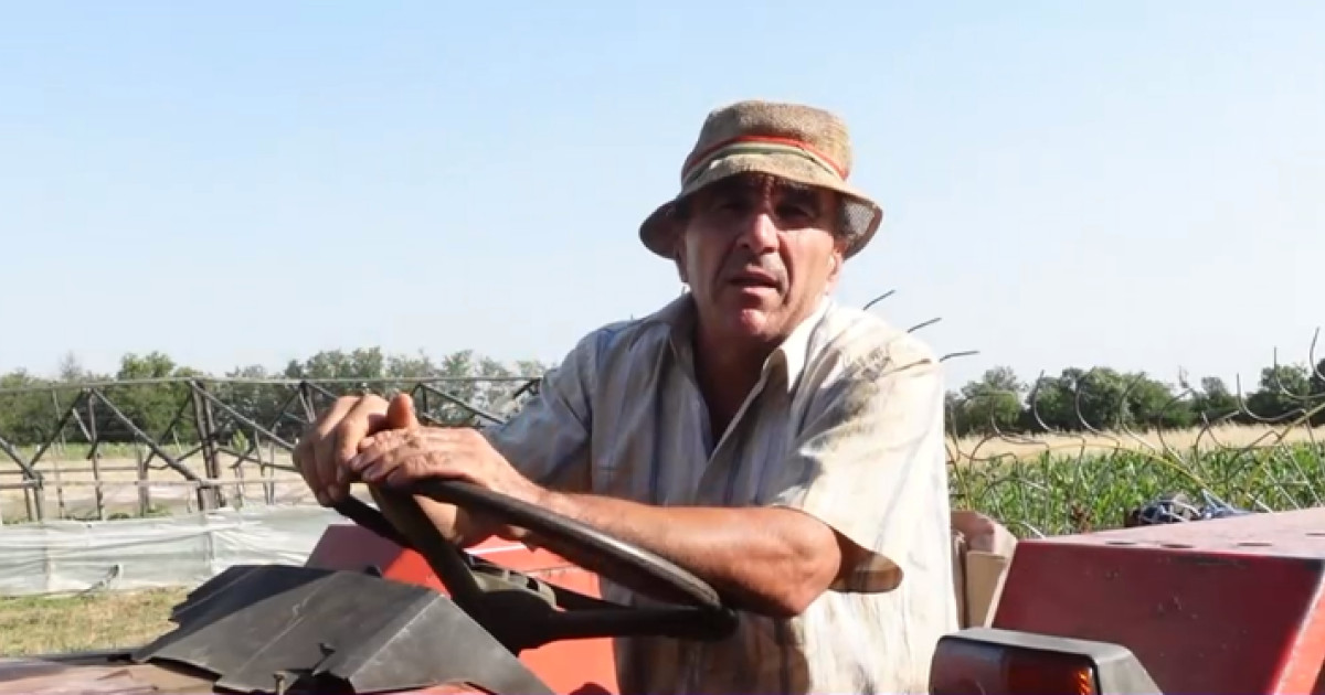 "Unde este Dreapta, unde este Stânga? Noi cu cine să votăm?". Supărare ...