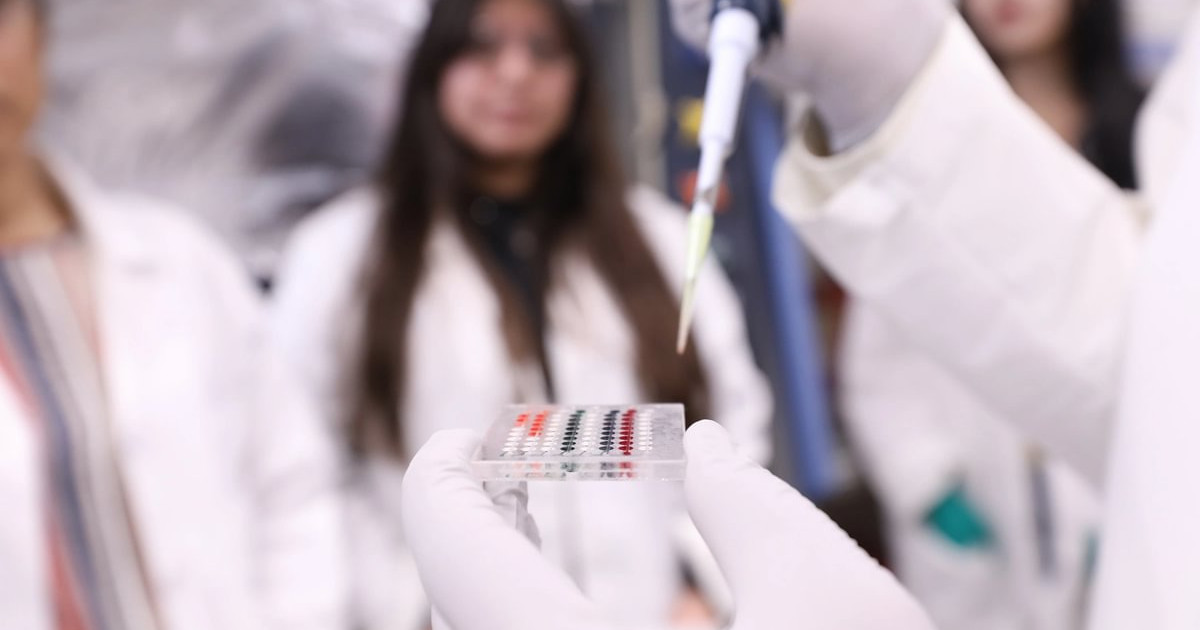 New tests developed to detect cancer in just one hour. How they work ...