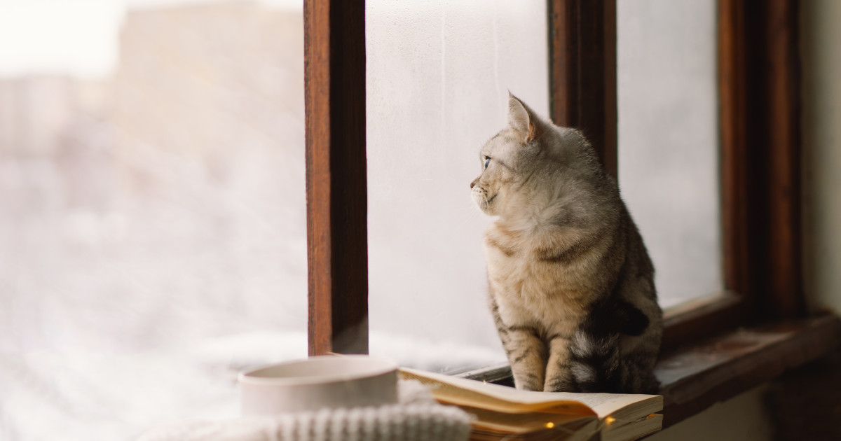 Vremea pe două săptămâni. Prognoza meteo pentru fiecare regiune: când ...