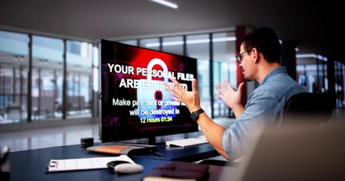 Au fost identificați responsabilii atacului cibernetic de la Electrica. DNSC oferă recomandări ...