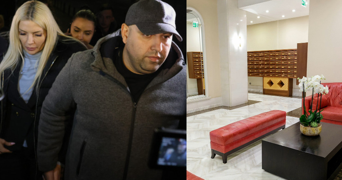 Cum arată apartamentele de lux închiriate de soții Vicol-Ciorbă în ...