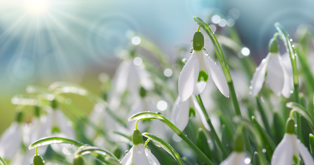 Vremea se schimbă radical. Prognoza meteo până în 23 februarie pentru ...