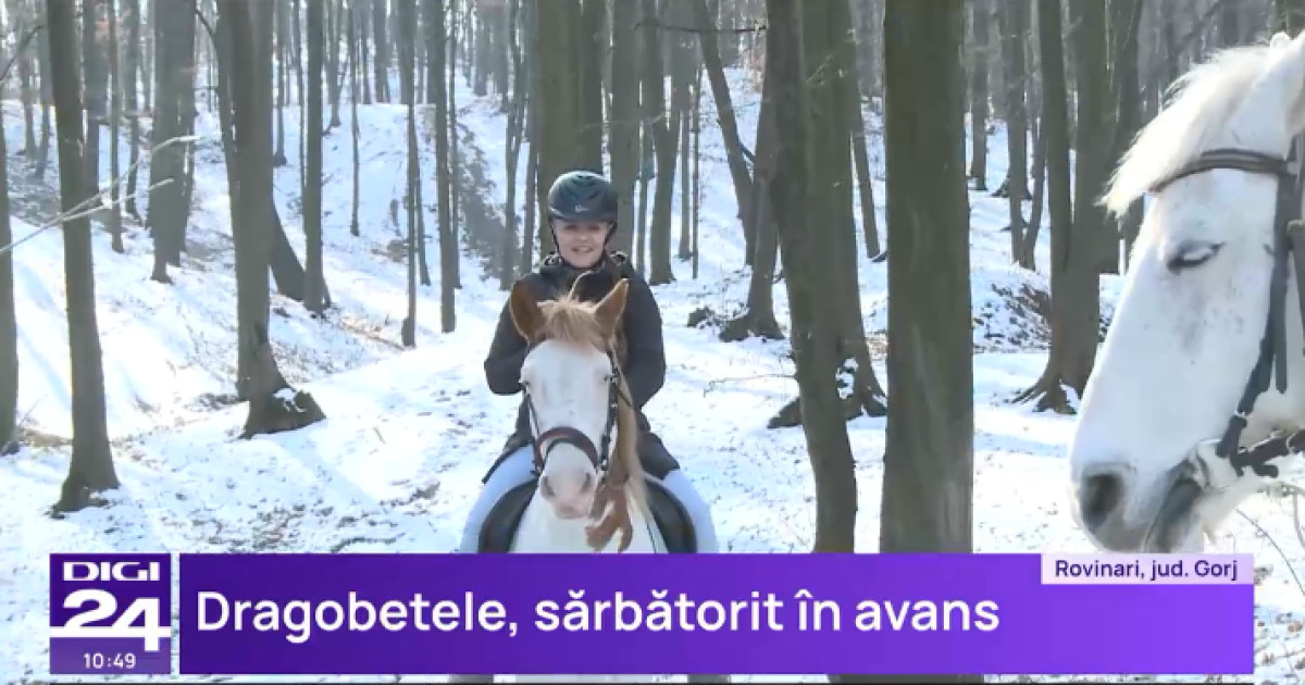 Cadou inedit de Dragobete. Plimbări călare prin păduri, masa servită în ...