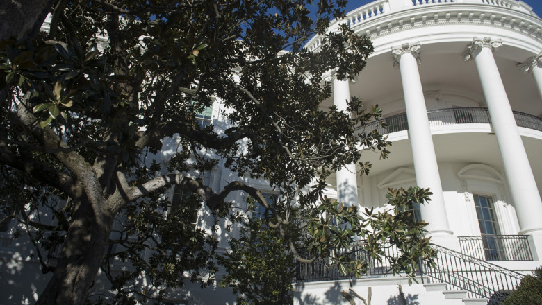 Trump anunță că taie un copac istoric, plantat acum aproape 200 de ani ...