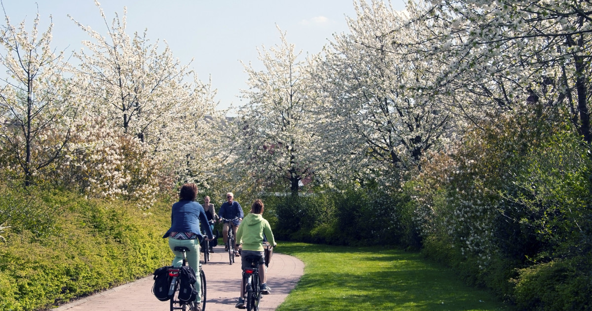 Vremea în minivacanța de 1 mai: ultimele zile din aprilie vor fi ...