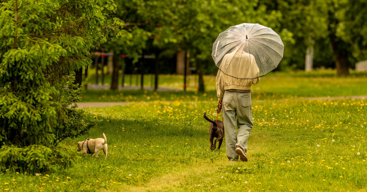 Cum va fi vremea în luna mai. ANM a actualizat prognoza pentru următoarele patru săptămâni | Digi24
