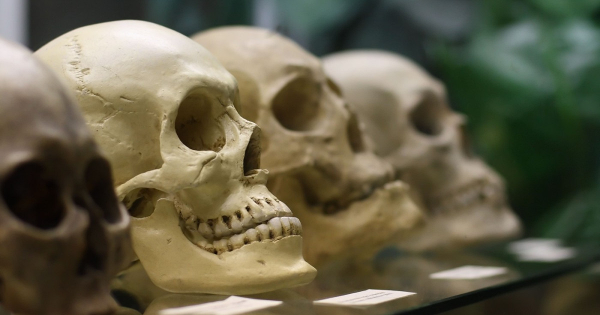 Craniu uman, folosit ca pahar de profesori la Oxford. Detalii șocante ...