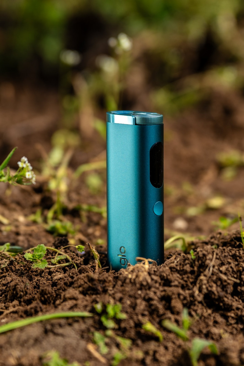 Promisiunea glo prinde rădăcini cu fiecare copac plantat! | Digi24