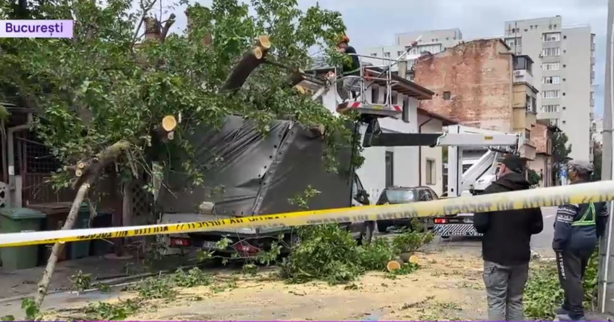 Un copac a căzut peste 4 mașini parcate, în centrul Bucureștiului. A ...