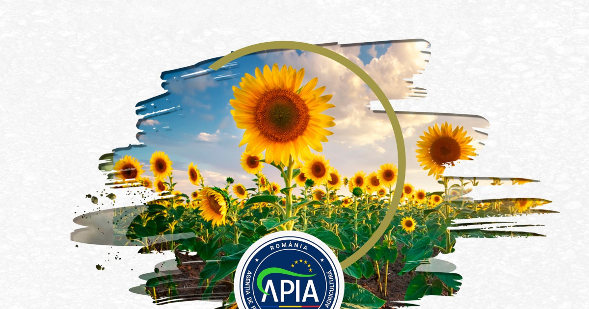 APIA a stabilit termenul limită pentru depunerea cererilor de plată alocate pe 2025. Fermierii ...