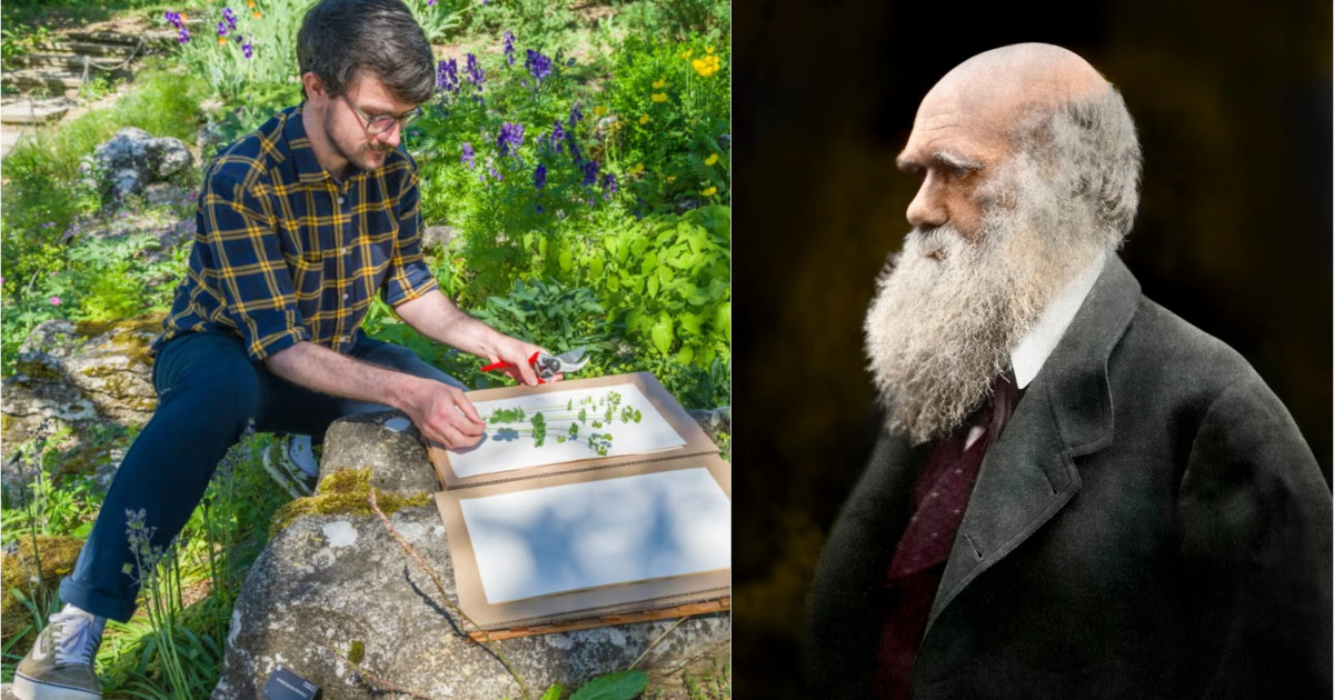 „Cel mai bun job din lumea naturală”: Un colecționar de semințe va ...