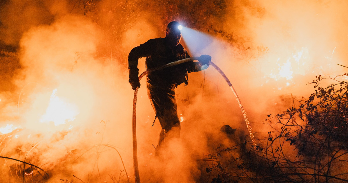 Fumul provocat de incendiile forestiere este mult mai periculos decât ...