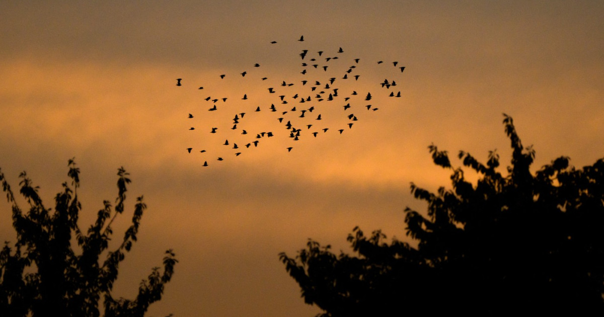 Cum va fi vremea până la jumătatea lui septembrie, pe regiuni: cât va ...