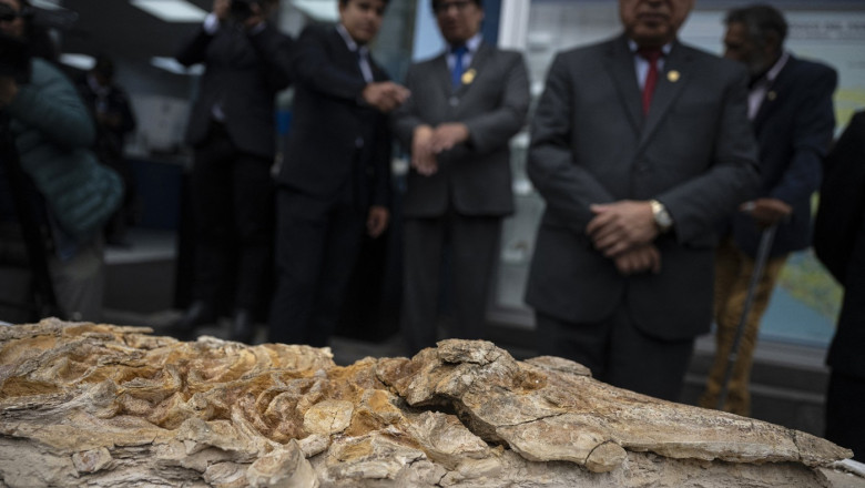 Descoperiri stiintifice - inventii noi, noutati in stiinta, articole ...