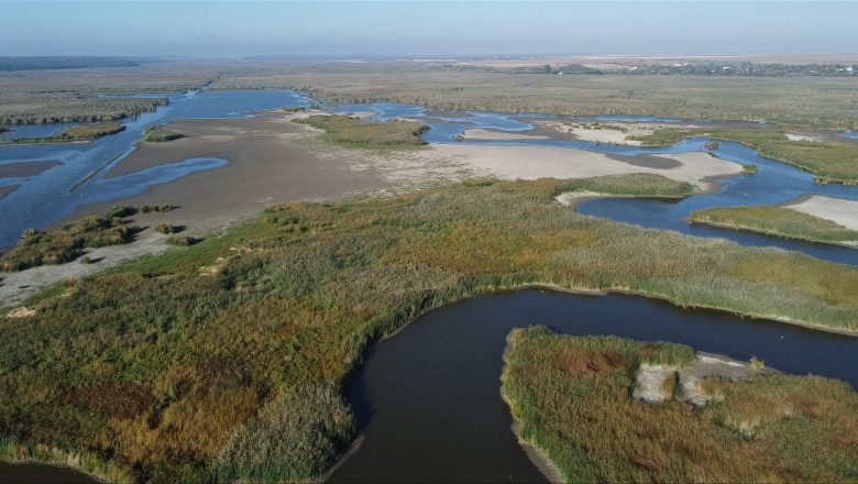 Paradisul pierdut de la Comana: peste jumătate din Delta Neajlovului a ...