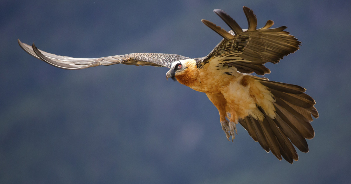 „Muzee naturale” ascunse în stânci. Artefacte medievale în stare ...