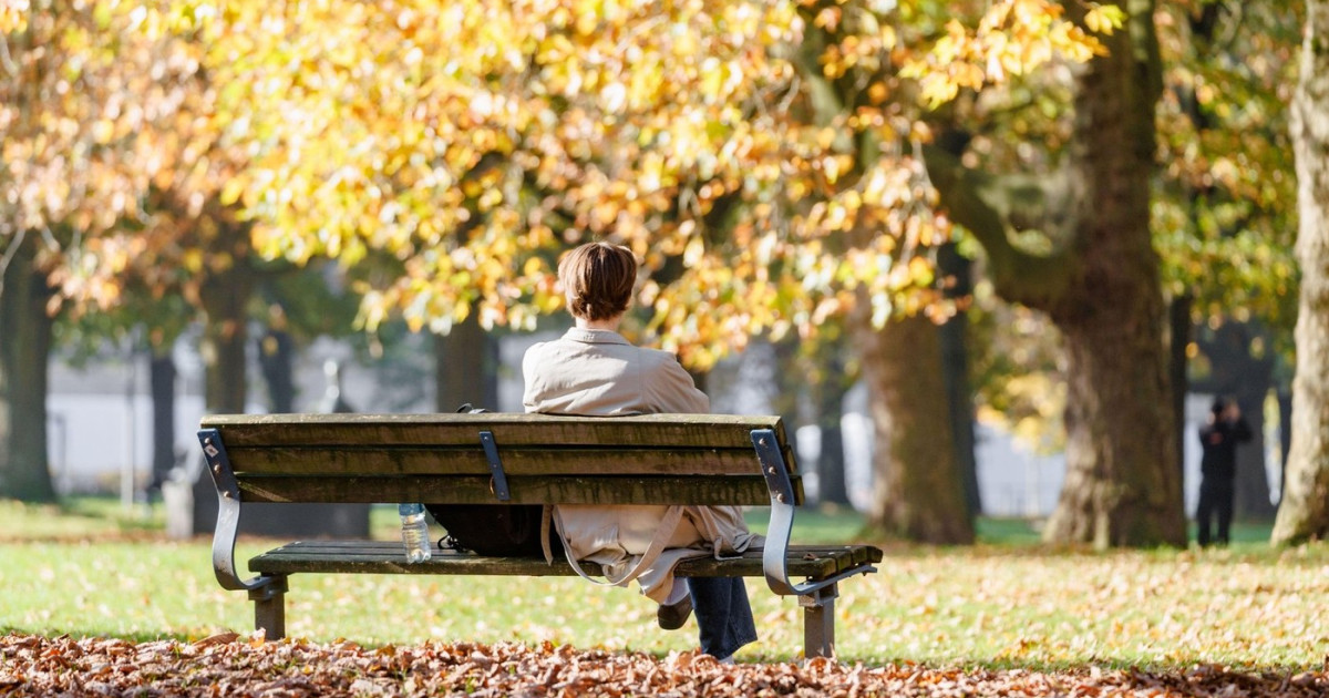Cum va fi vremea până la jumătatea lunii noiembrie. Estimările ...