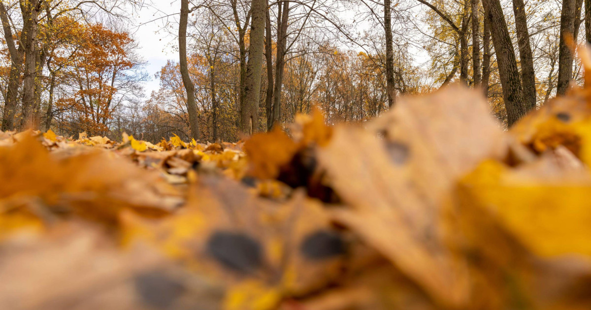 Cum va fi vremea până la începutul lunii decembrie. Prognoza meteo ...