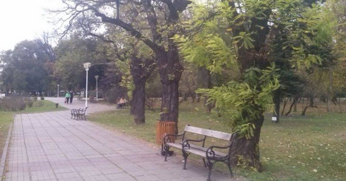 O nouă imagine pentru Parcul Central din Timișoara: grădină vieneză sau ...