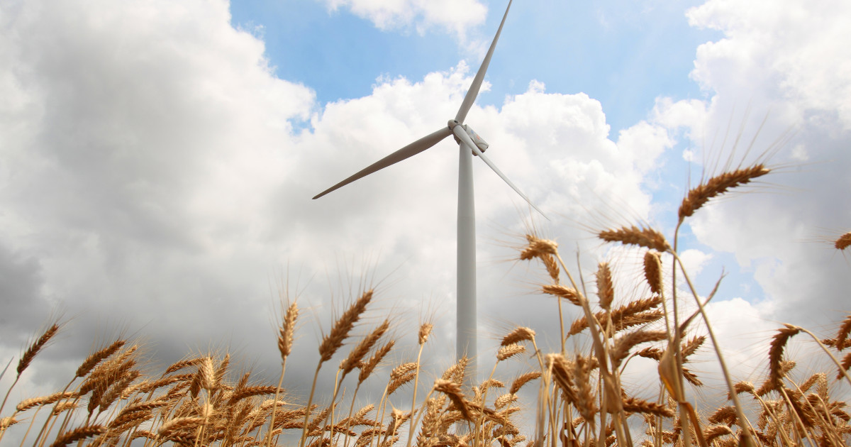 Eolienele, taxate cu 30 de milioane de euro | Digi24