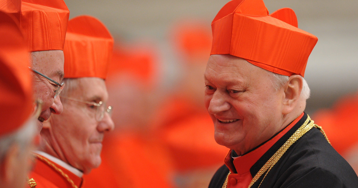 Cardinalul Lucian Mureșan se întâlnește cu Papa Francisc | Digi24