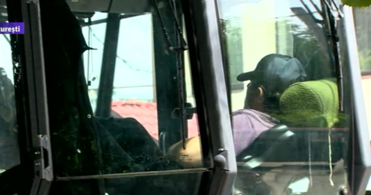 VIDEO. Table și somn din plin, muncă mai puțin. Cum se desfășoară ...