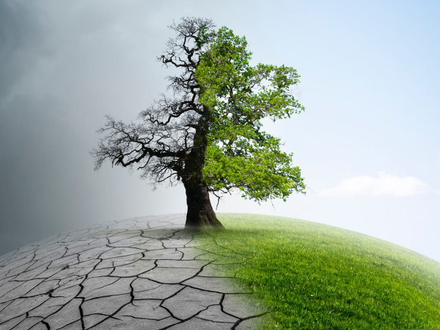 Schimbările climatice provoacă mai multe modificări în ceea ce priveşte ...