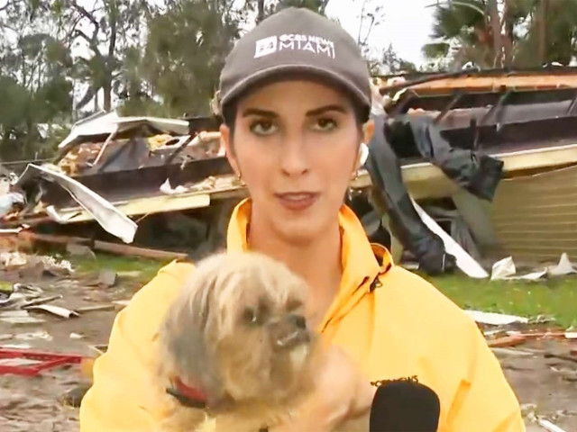 Un câine a fost salvat de sub dezastrul l&sat de uraganul Milton& în ...