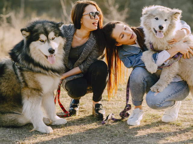 Cele mai bune rase de câini pentru primul t&u animal de companie ...